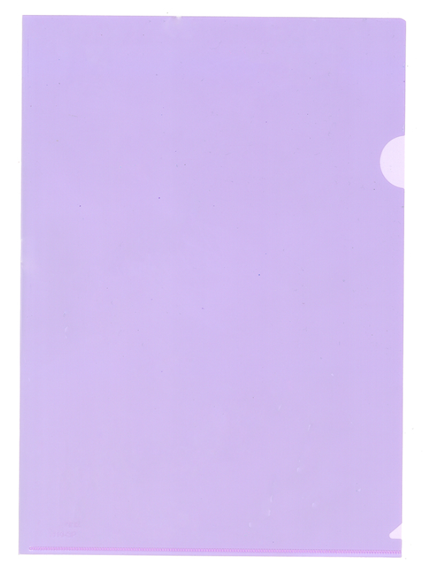 Data Bank E-310-SP BN105 快勞袋/膠快勞 - 1層, A4, 紫色, 12個(包) | OfficeOx - 辦公室 ...